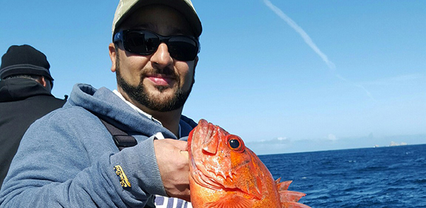 Sargon Younathan lands a Vermillion Rock Fish near the Farallon Islands ...